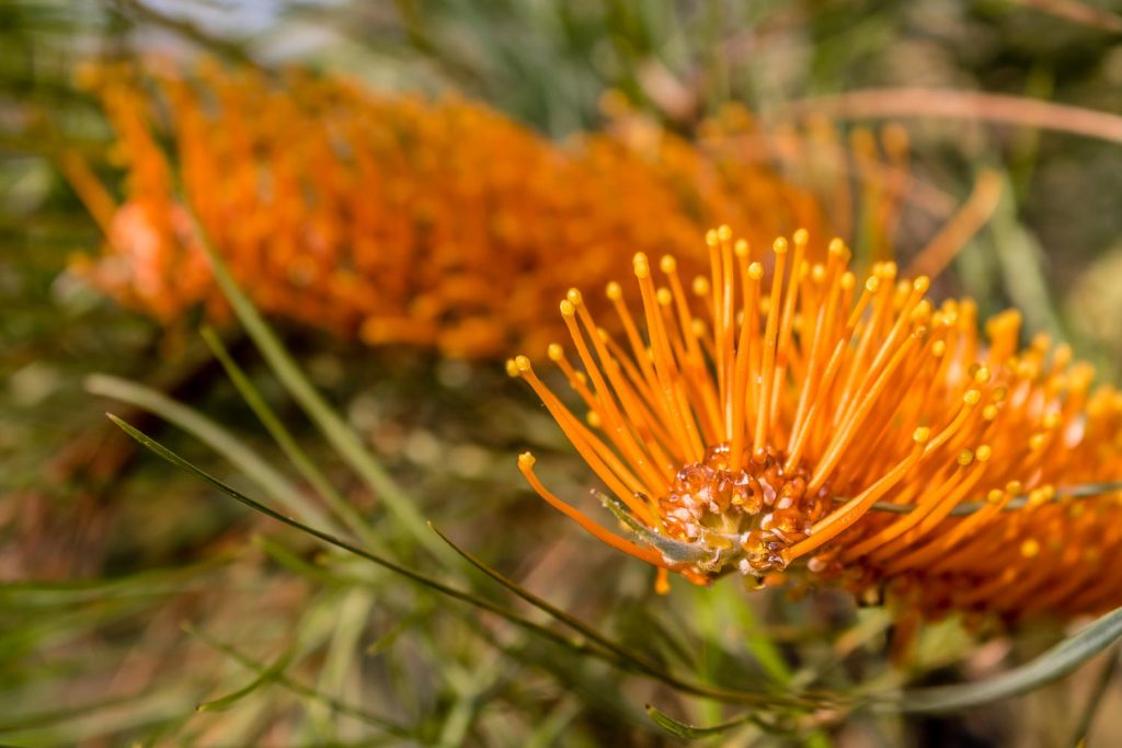 How to survive the epic Jatbula Trail in the NT - Always Around The World