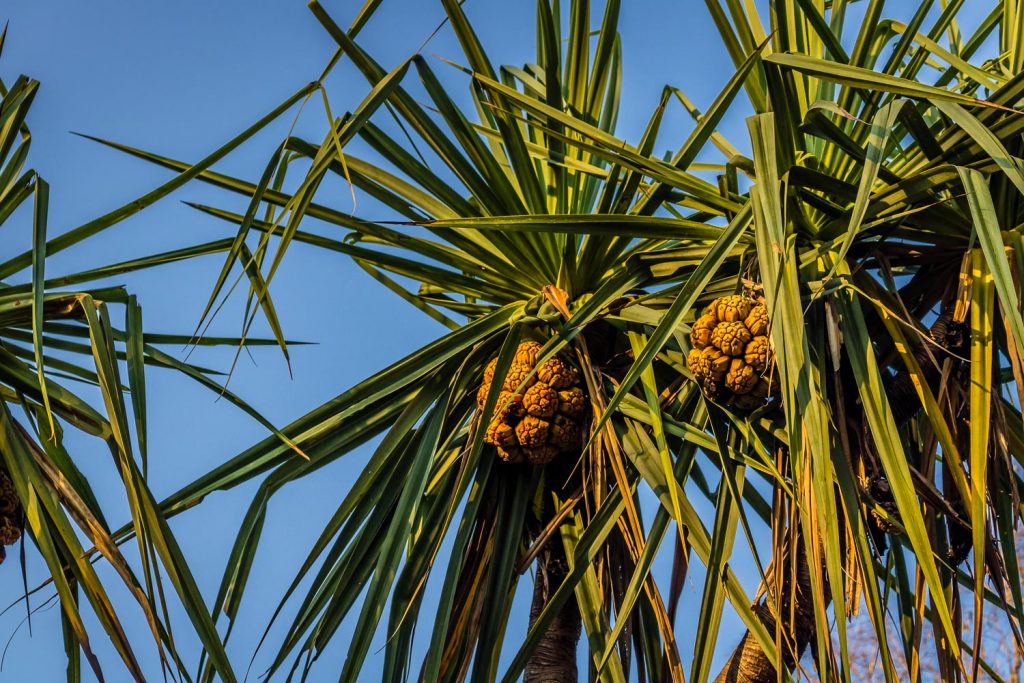 How to survive the epic Jatbula Trail in the NT - Always Around The World