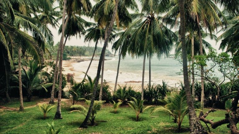 27 things to add to your tropical vacation packing list | AATW