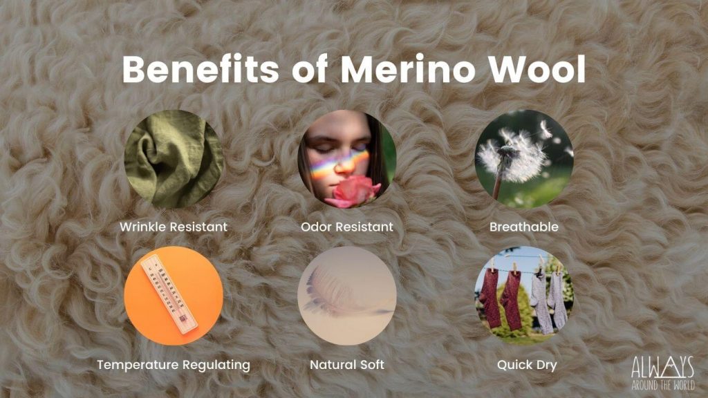 Merino Wool - 10 fantastic benefits that make you love it!