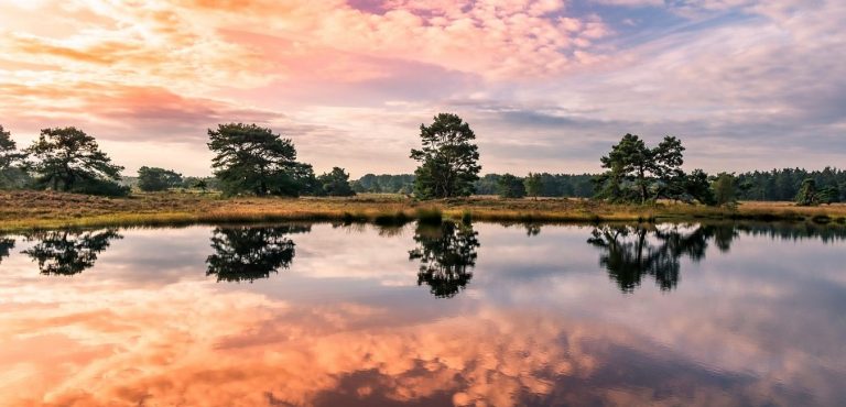 Hiking near Utrecht: 13 Most Beautiful Forest Hiking Trails for All Levels