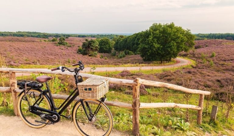 The 15 Best Self Guided Netherlands Bike Tours: Maps included