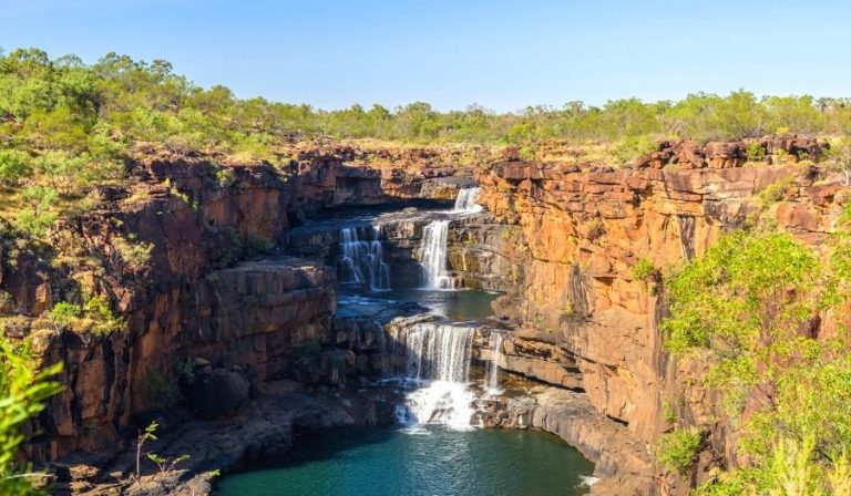 Rainforest in Australia - 7 Rainforests You Must Visit | AATW