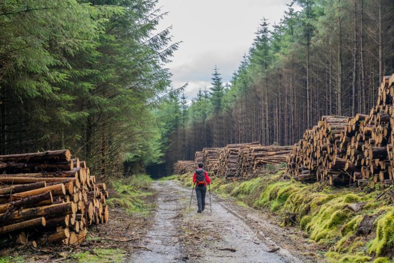 15 Ultimate Outdoor Adventures In Ireland For Thrill Seekers - Always ...