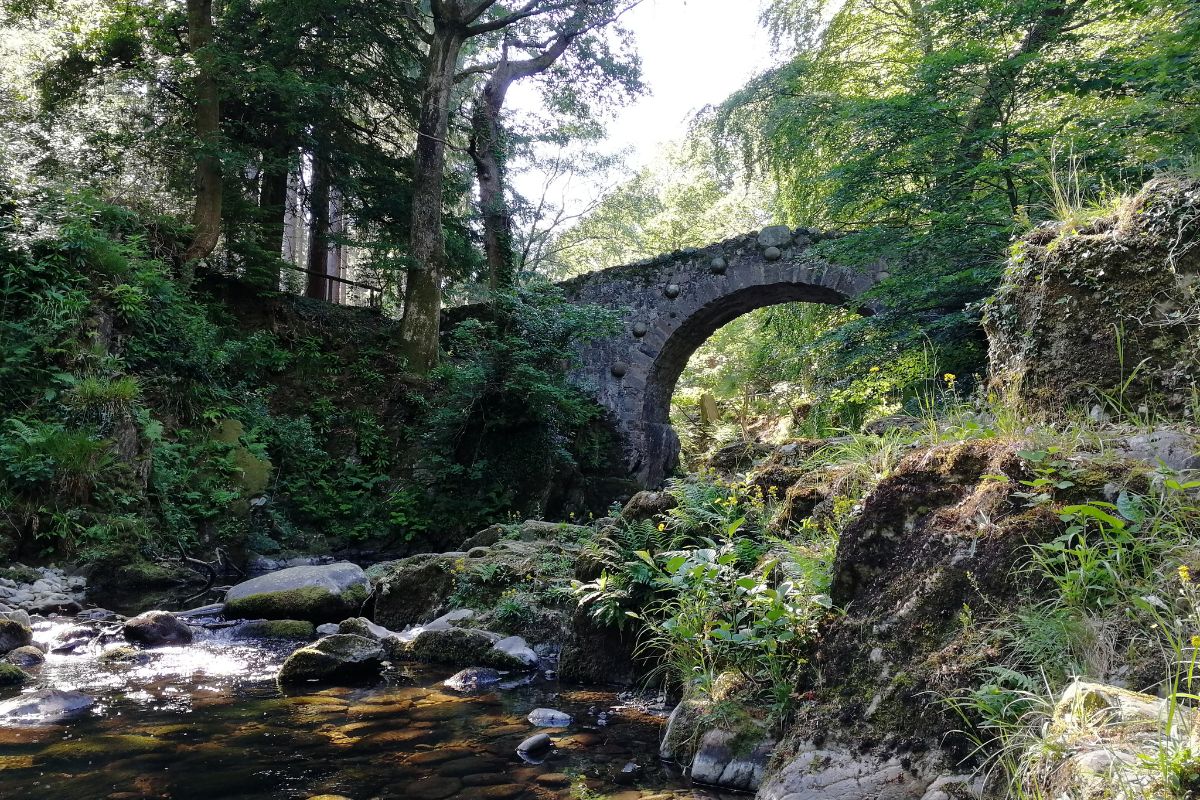 Best Hikes in Ireland: Top 15 Unforgettable Trails & Walks