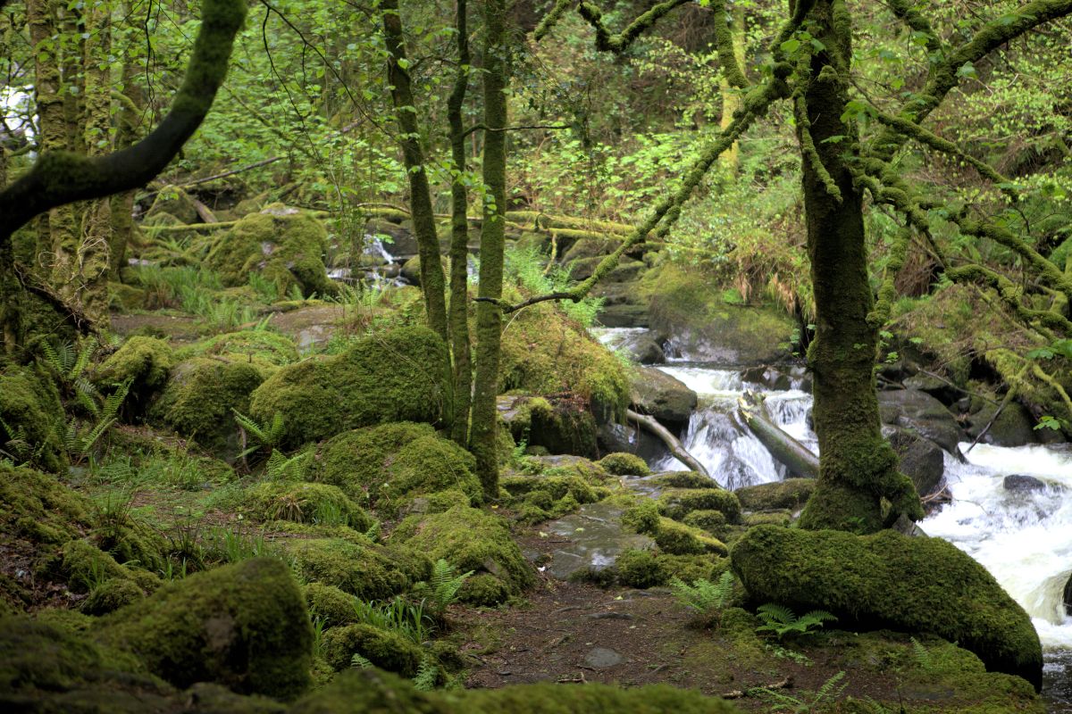 Best Hikes in Ireland: Top 15 Unforgettable Trails & Walks