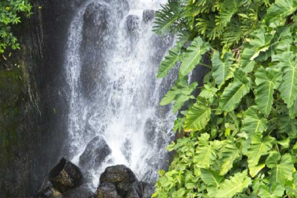 Discover The 12 Most Beautiful Waterfalls In Cornwall