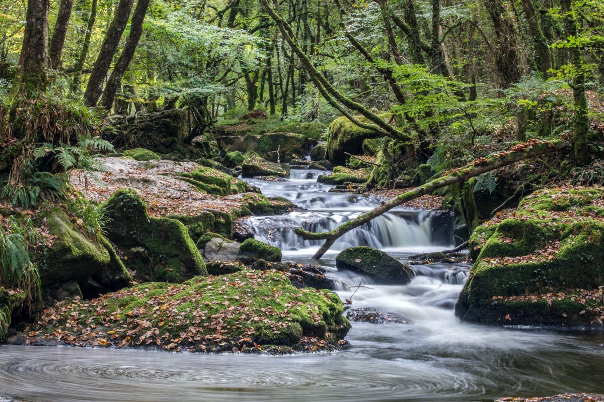 13 Best Cornwall Hikes + Interactive maps