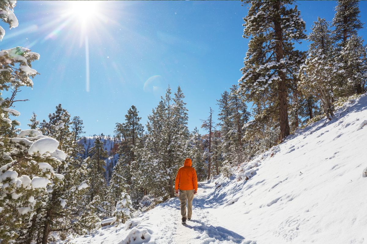 Winter Hiking Guide: Tips for a Magical Snow Adventure