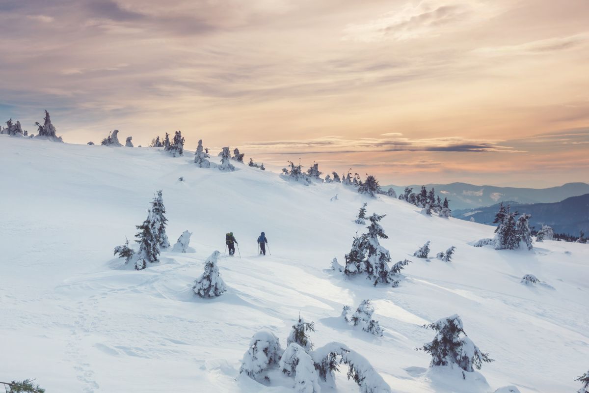 Winter Hiking Guide: Tips for a Magical Snow Adventure